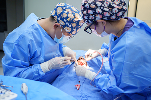 Splatter study examines infection control during oral surgery – Dr John Nolan